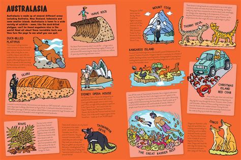 Buy Catch Cat Discover The World In This Search And Find Adventure