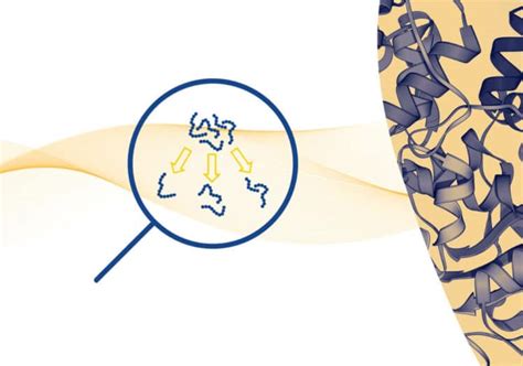 Peptide Fractionation Affinisep