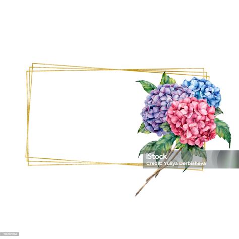 꽃 부케와 수채화 프레임입니다 손으로 그려진 된 라벨에는 양화 나뭇잎과 나뭇가지에 고립 된 흰색 배경입니다 디자인 인쇄에 대 한 인사말 템플릿입니다 가문비나무에 대한 스톡