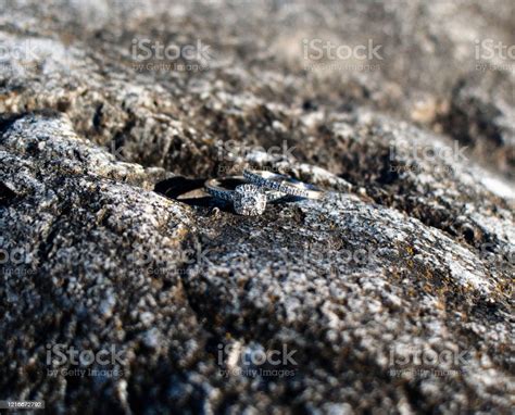 거친 질감 배경 바위에 설정 된 화이트 골드 다이아몬드 웨딩 0명에 대한 스톡 사진 및 기타 이미지 0명 거친 결혼식 Istock