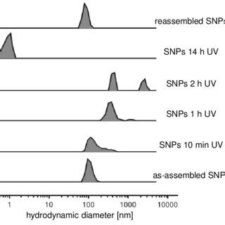 DLS Size Determinations Of As Assembled SNPs Prepared From Azo PEG