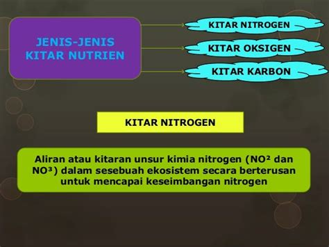 Geografi Stpm Penggal3 Kitar Nutrien Dalam Ekosistem