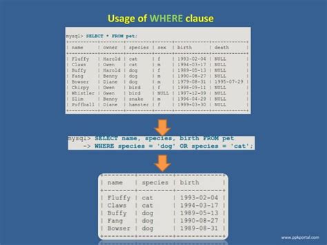 Mysql Tutorial Commands Part1 Ppt