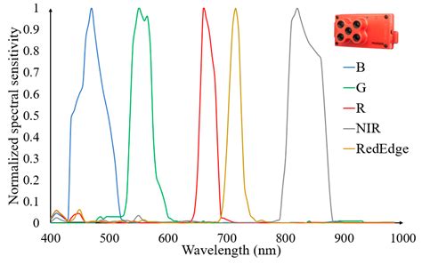 Remote Sensing Free Full Text Assessing The Effect Of Real Spatial Resolution Of In Situ UAV