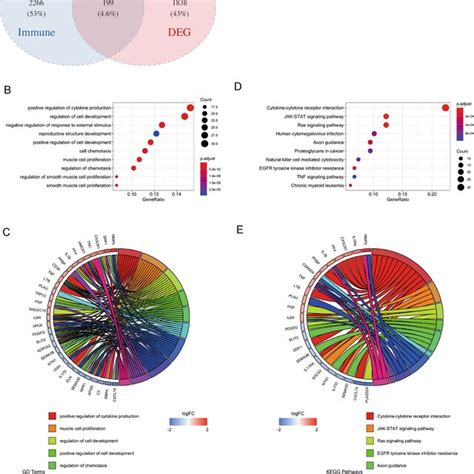 Differential Genes Associated With Immunity A The Venn Diagram Shows