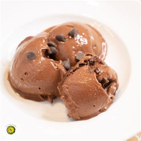 Ninja Creami Mint Chocolate Chip Protein Ice Cream The Tasty Travelers™