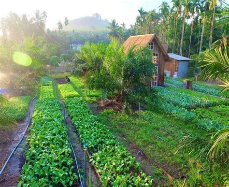 ไอเดียเเปลงผัก 59 การออกแบบสวนผัก ปลูกผักหลังบ้าน สวนชนบท