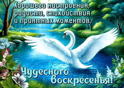 Живая гиф открытка хорошего и чудесного воскресенья Открытки Онлайн