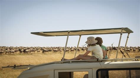 Memorable Day During Serengeti Safari Inputs From An Expertafrican Scenic Safaris