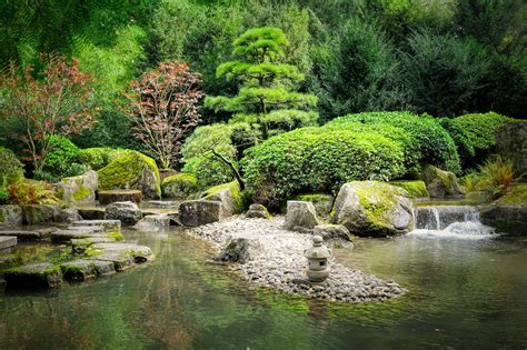 Plus De 200 000 Photos Gratuites De Jardin Japonais Et De Japon Pixabay
