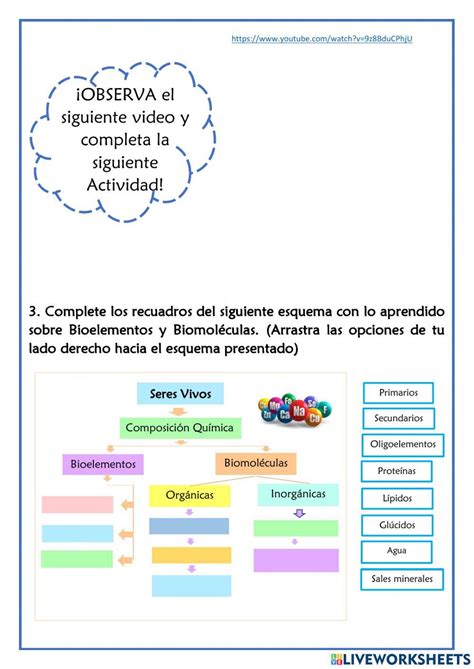 Bioelementos Y BiomolÉculas 2600955 Melissa