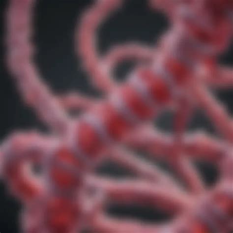 Understanding Iga Lambda Monoclonal Band Analysis And Implications