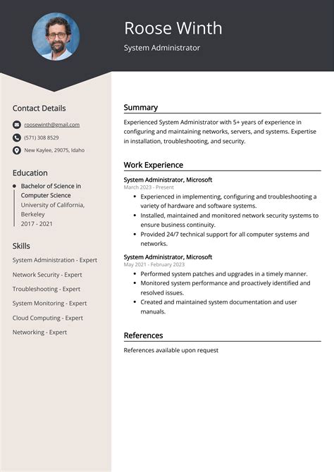 System Administrator Cv Examples Template And 20 Tips