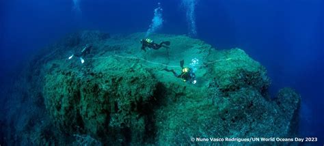 海洋の3分の2以上における生物多様性の保全と持続可能な利用を目指す歴史的な協定採択2023年6月19日付プレスリリース日本語訳