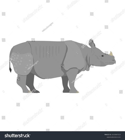 Javan Rhinoceros Seen Side View Flat Stock Vector Royalty Free