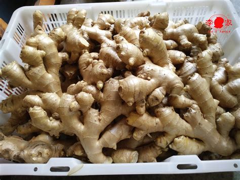 Bentong Ginger Powder Lee Family 槟城文冬姜太平文冬姜怡保文冬姜马六甲文冬姜芙蓉文冬姜JB文冬姜