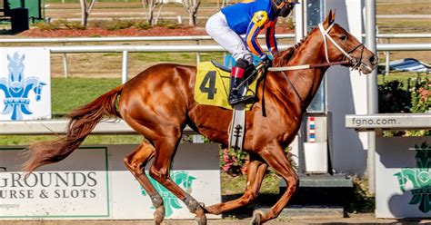 Asmussen Eyes Risen Star For Lecomte Winner Track Phantom Intriguing