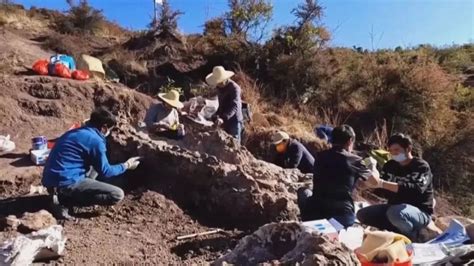 云南楚雄武定或成为我国发现的最早恐龙骨骼化石地 神秘的地球 科学自然地理探索