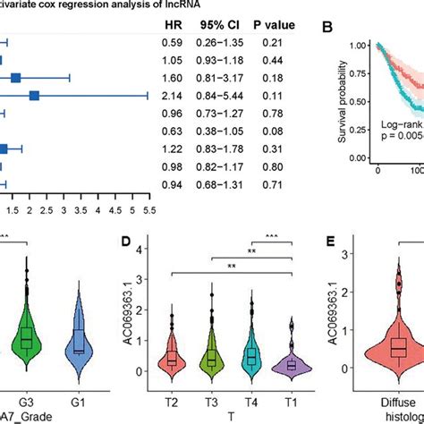 Characterization Of Immune Related Lncrna A Distribution Of