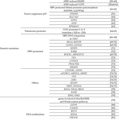Etiology And Risk Factors Promoting Hcc Carcinogenesis Continuous