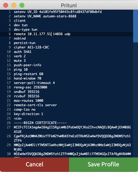 Pritunl Vpn