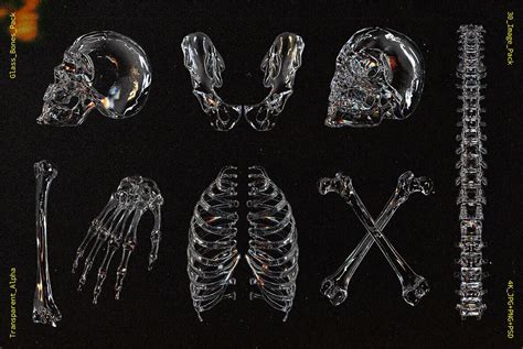 Glass Bones Graphics Youworkforthem