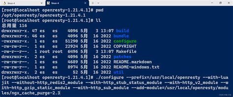 Openresty编译安装 Csdn博客