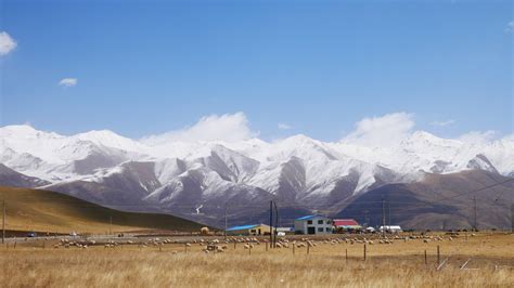 2021岗什卡雪峰游玩攻略 岗什卡雪峰是祁连山脉东段的 去哪儿攻略