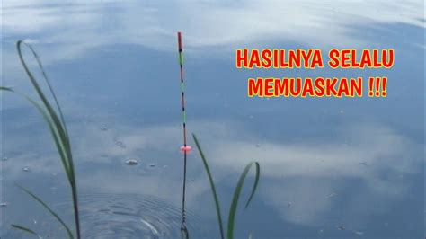 VIRAL MANCING NILA PAKAI TEKNIK TERLARANG AUTO DAPAT BABON