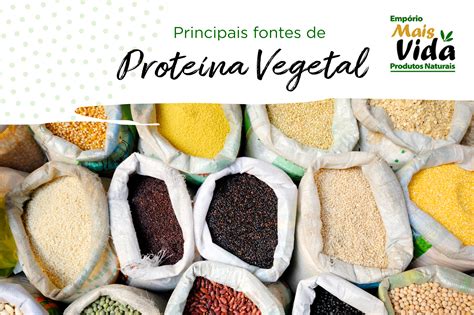 Vegetais Ricos Em Proteínas Blog Do Empório Mais Vida