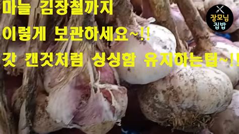 마늘저장법2가지 마늘이 자꾸 썩는다구요~이렇게 보관하면 김장철까지 싱싱하게 보관할수 있어요~갓 캔것처럼 싱싱하게 보관해서