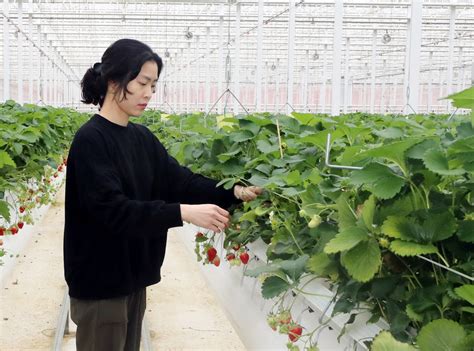 [2024 와이팜 엑스포] ② 고흥 스마트팜서 귀농 준비 심세련씨 나무뉴스