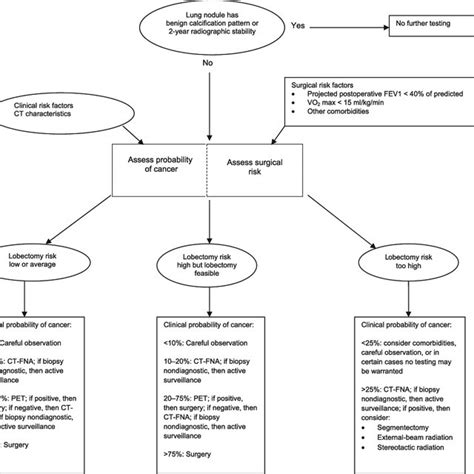 Clinical Algorithm For Decision Making In Patients With Pulmonary Download Scientific Diagram