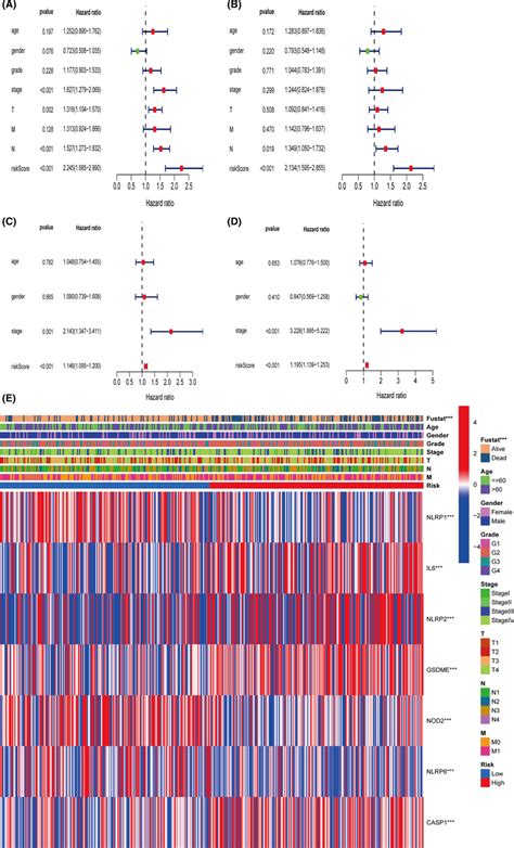 Independent Prognostic Analysis For Risk Score A Univariate Cox