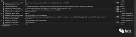 WinForm一开始一个WinForm程序 董川民