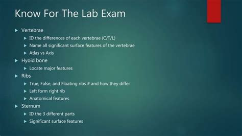 anatomy lab exercise 8 pptx