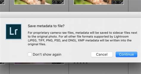 Embedding Metadata Into Original Source Files In Lightroom Nature Ttl