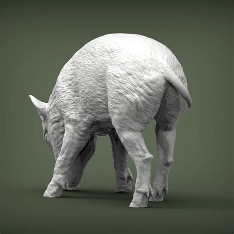 3d Printable Small Boar By Alexander3dart