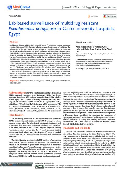 Pdf Lab Based Surveillance Of Multidrug Resistant Pseudomonas Aeruginosa In Cairo University