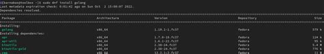 Toolbox Uses Host S Version Of Golang Instead Of Version In Toolbox