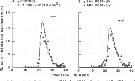 Figure 2 From Repair Of Radiation Induced Dna Damage In Nondividing