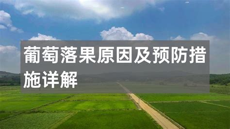 葡萄落果原因及预防措施详解