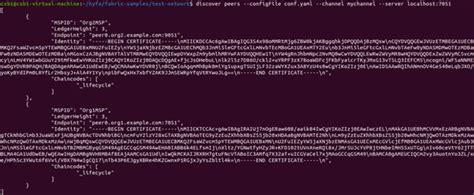 Hyperledger Fabric 入门笔记（十五）fabric V25 测试网络基础补充 Discovery服务