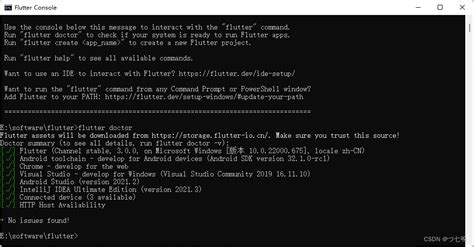 Flutter Flutter Csdn