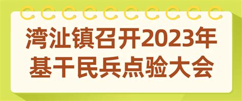 湾沚镇召开2023年基干民兵点验大会工作武装整组