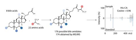 Leveraging Ometa Flow For In Vitro And In Silico Library Generation — Ometa Labs