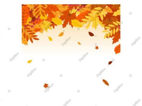 دانلود وکتور حاشیه پاییزی دیجیت باکس Digitbox