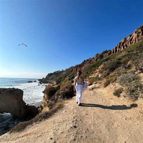 Taylor Burrell Youtube