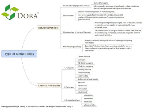 2020 Best Classification Of Nematicides Dora Agri Tech