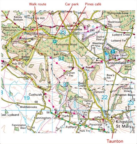 Basset Hound Walkers On The Quantocks Dec 2009